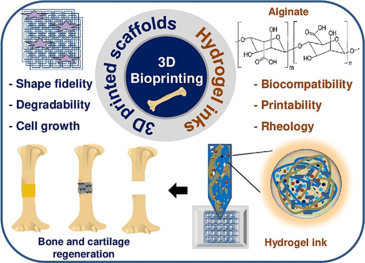 Publications - Biofabrication and bio-instructive materials